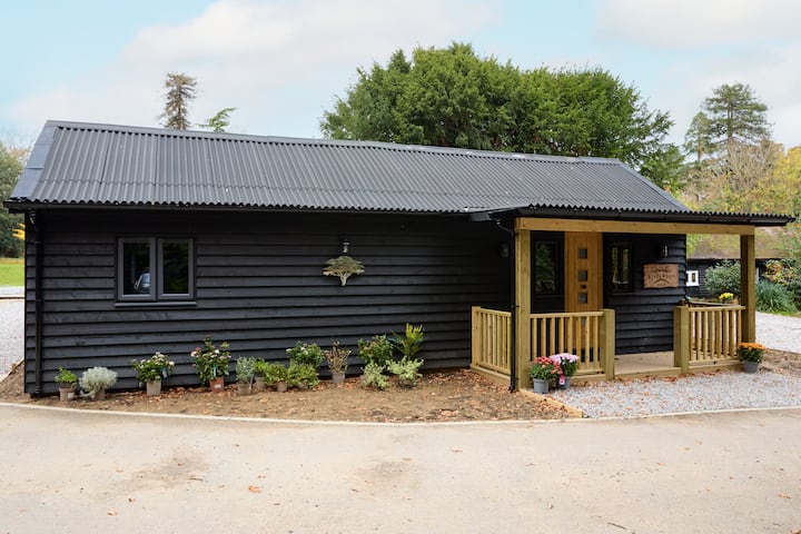 Luxury Cottage With Ancient Woodland Surrounds - Woking