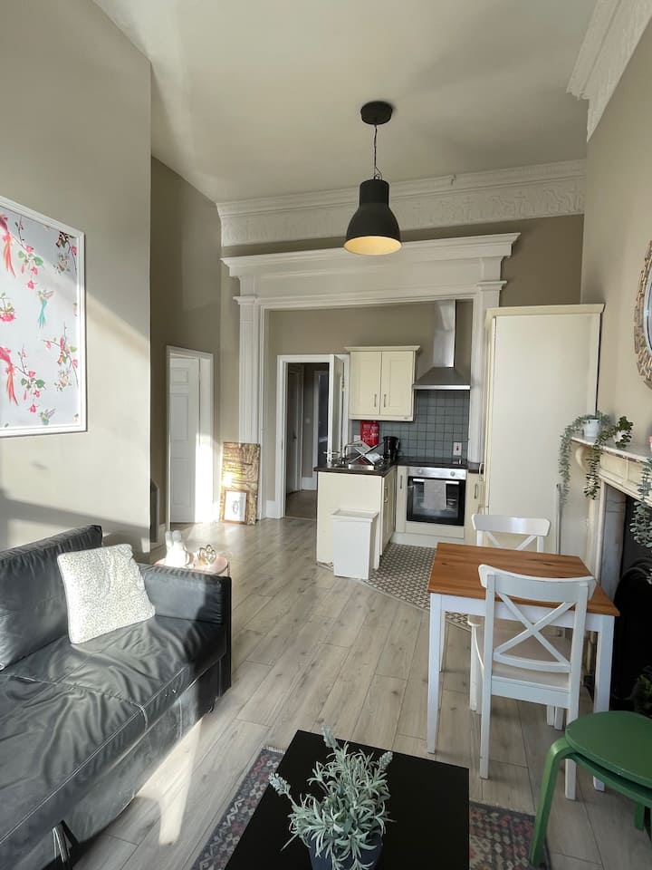 Downtown Chic 2br Apartment – Newly Renovated - Dún Laoghaire