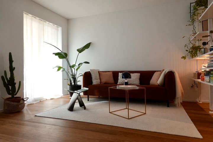 Modernes City-apartment Im Trendquartier Wiedikon - Zurique