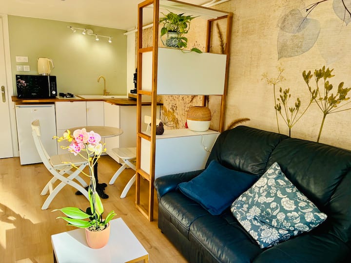 Le Nid Des Poulettes - Cournon-d'Auvergne