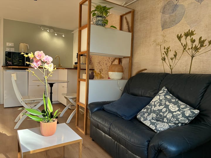 Le Nid Des Poulettes - Cournon-d'Auvergne