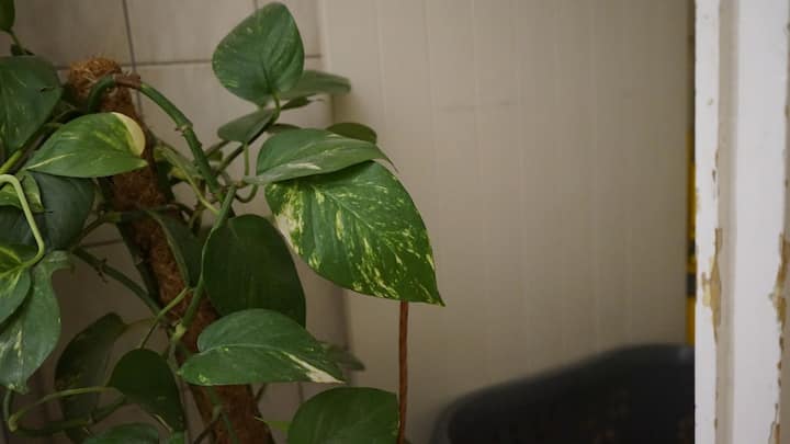 Gemütliche Stadtwohnung Im Herzen Der Innenstadt - Zurich