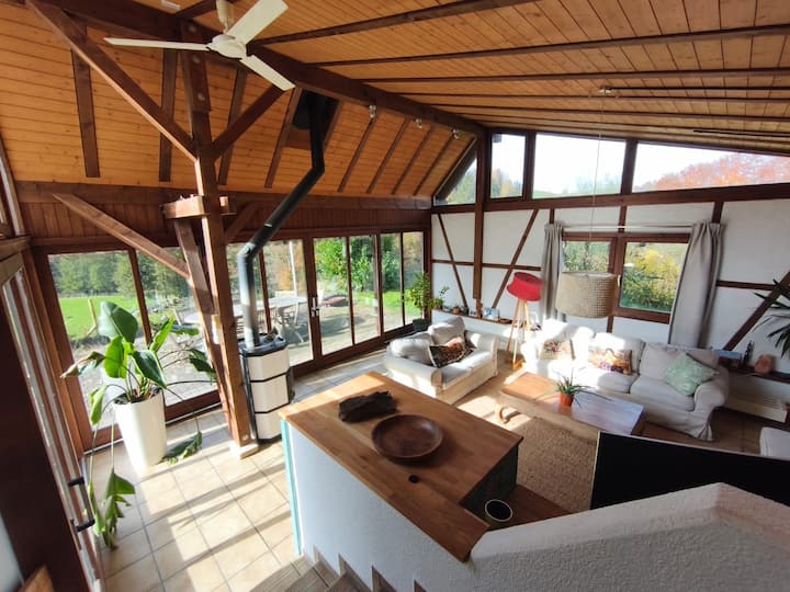 Splendid House In The Countryside - Zug