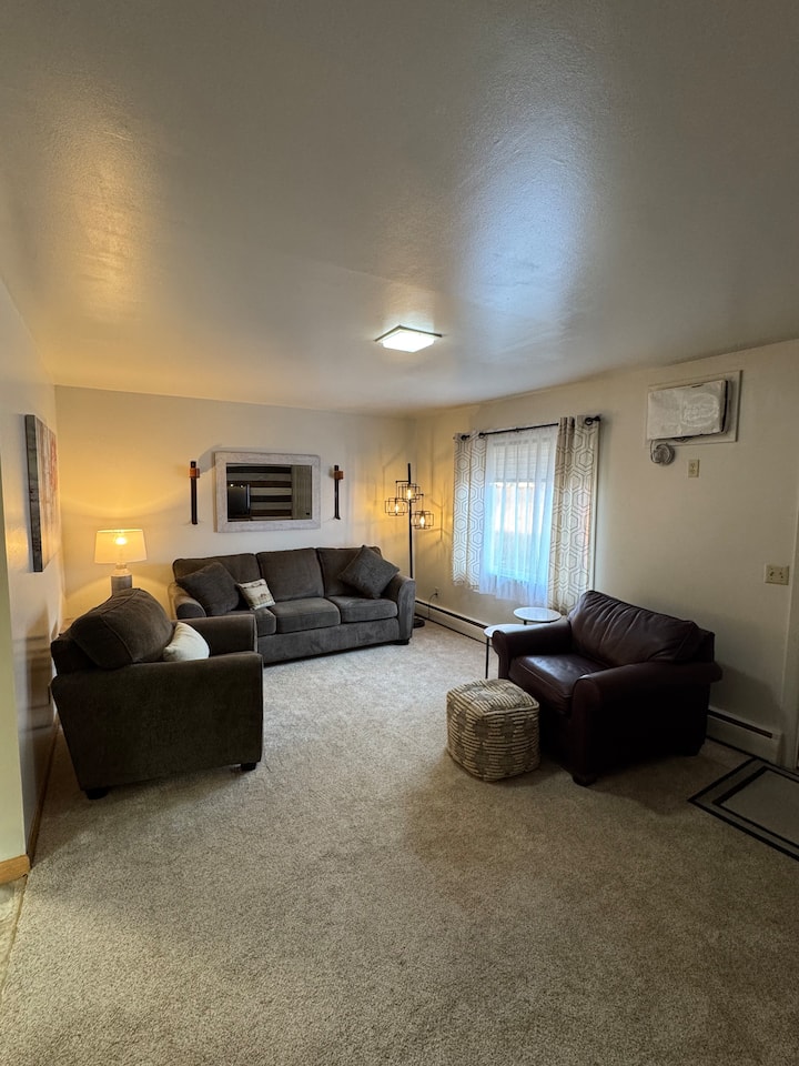 Modern & Quiet Fully Furnished Apartment W/garage - Wyoming