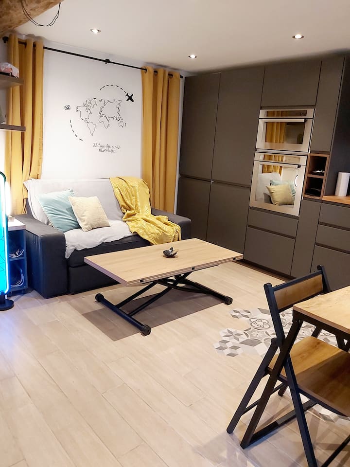 Jolie Maison Cosy De Ville - Foix