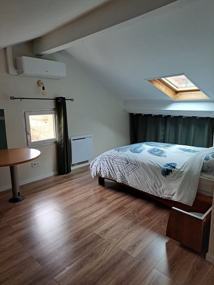 1 Chambre Au Cœur Du Centre Dans Maison à Partager - Bourg-en-Bresse