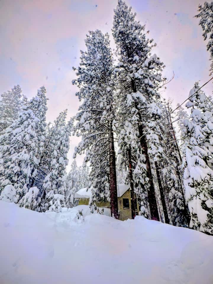 Snow & Generator! Power On 24/7 - 12 Min To Dodge - Dodge Ridge, CA