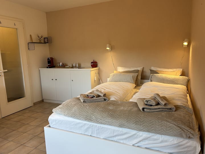 Studio Salute - Cosy Et Confort Pour 2 Personnes - Kandersteg