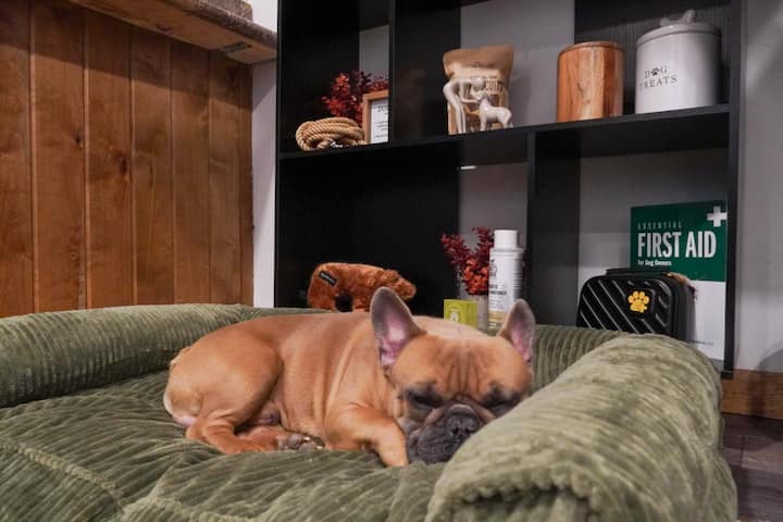 Chic Tahoe Basecamp - Paws Welcome! - Incline Village