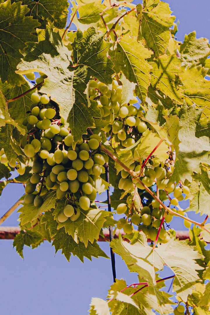Double Room Palazzo Vittoria - Galatina