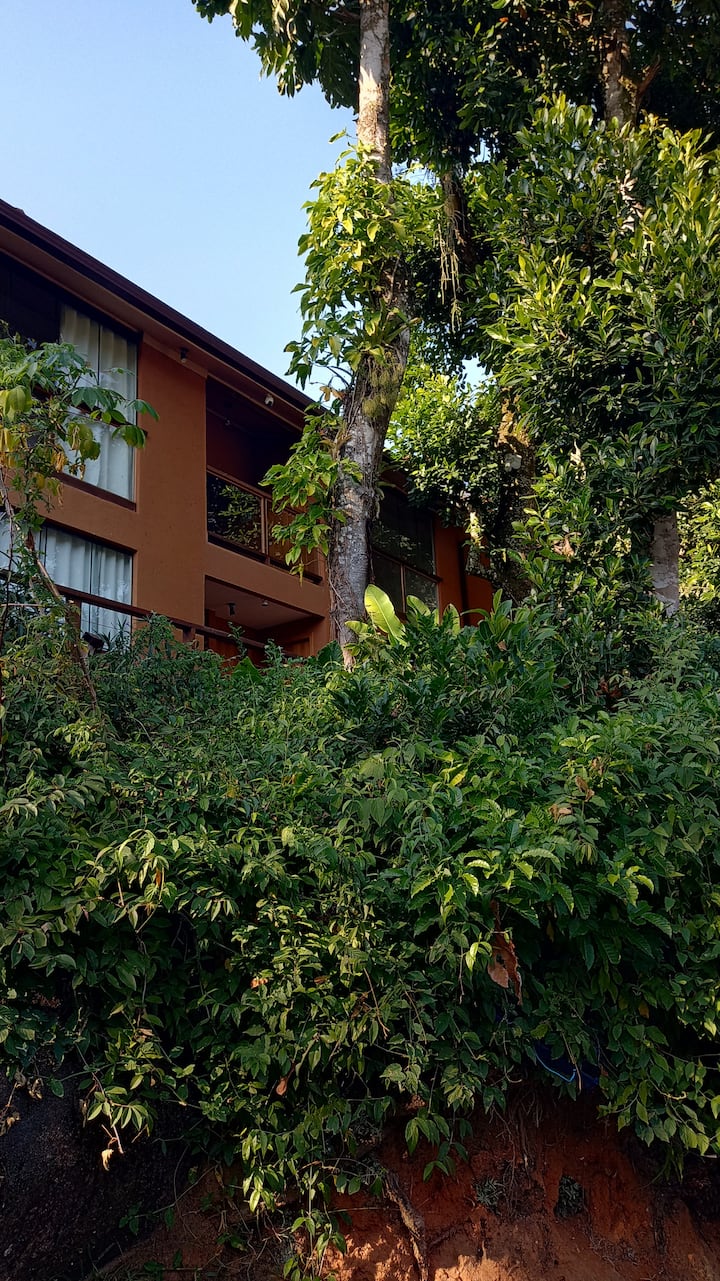 Loft Sereno Atlântico - Ilha Grande