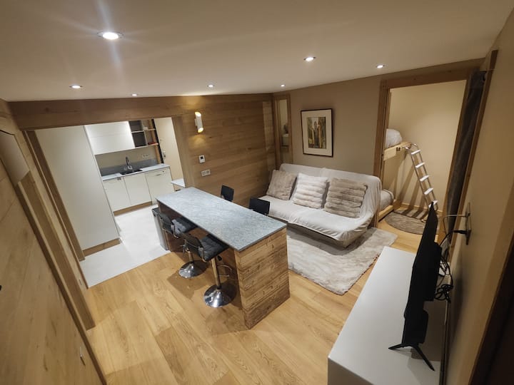 Appartement à Briançon / Serre Chevalier. - Briançon