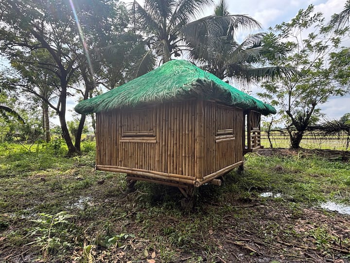 Relax And Enjoy 2 Hectares Property. 7 -11 Nearby - Pototan