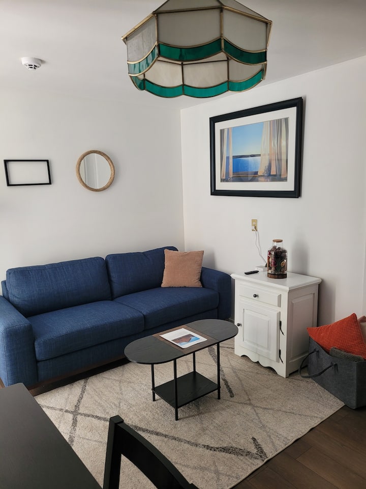 Cozy Apartment Near Avenir Centre & Hospital - Moncton