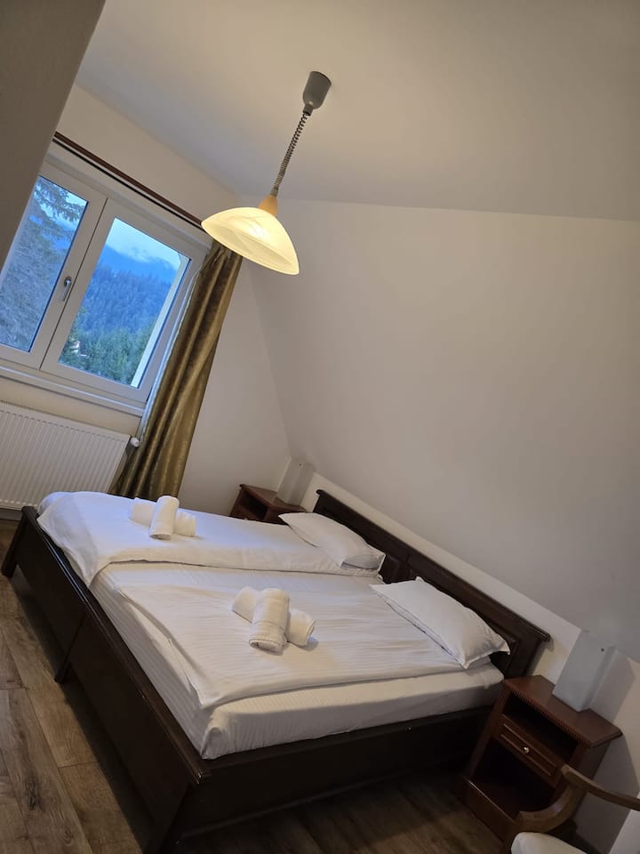 Vila Altapura Paltinis - Hermannstadt