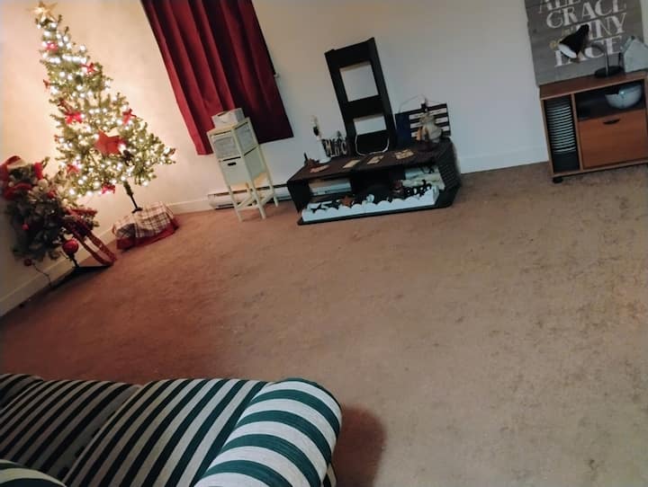 Cozy Apartment - Mansfield, OH