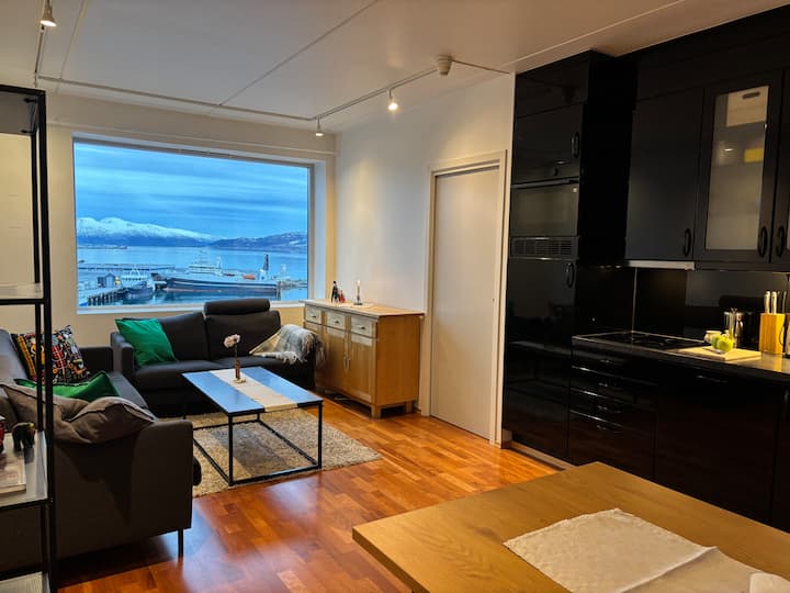 Sentrumsnær Leilighet Med Panoramautsikt - Tromsø