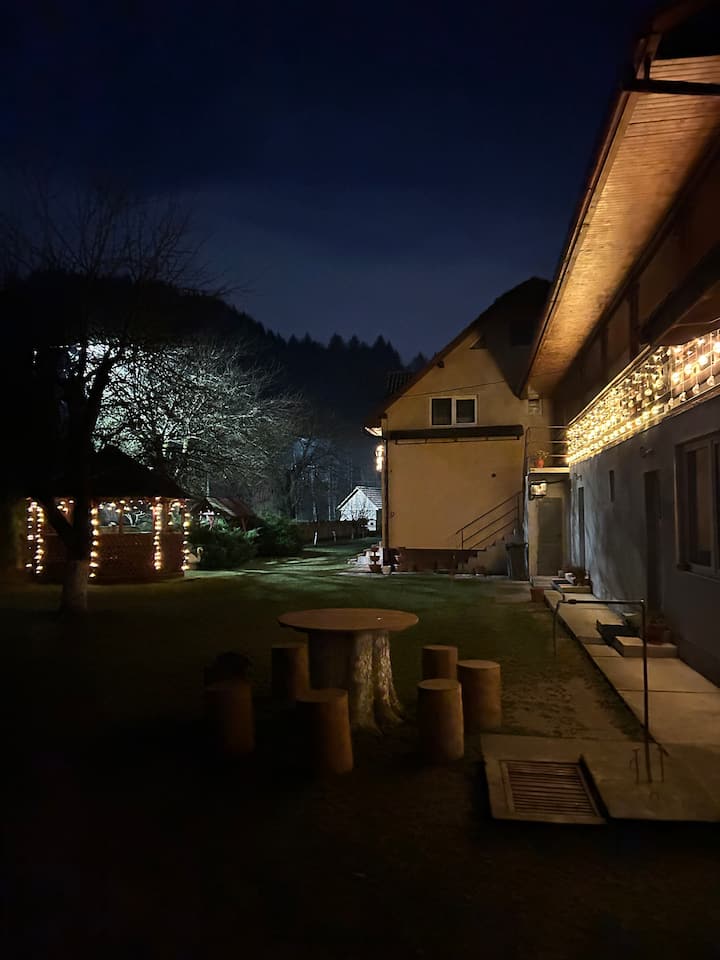 Insieme - Comuna Sohodol