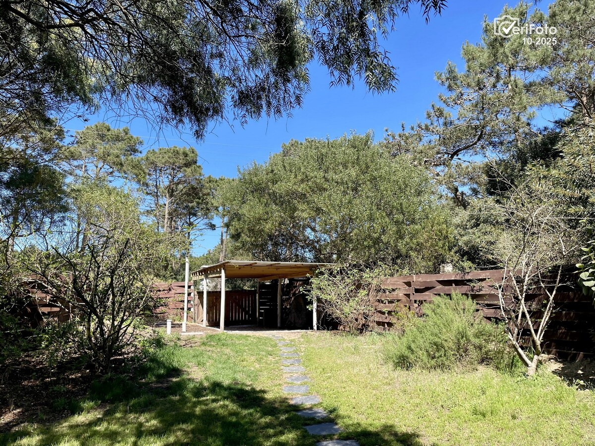 Casitas del bosque - Casa Pitanga 3 dormitorios - Bungalows en renta en ...