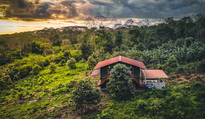 Arjo Cabaña, Refugio Premium Y Exclusivo - Galápagos Islands