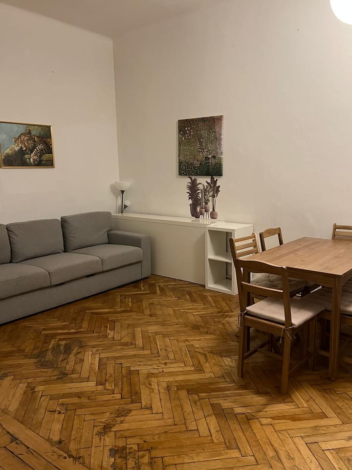 Old School Central Apartment - Viena