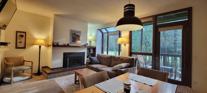 Mt. Baker Resort Stay | Hot Tub • Pool • Pets Ok - Glacier, WA