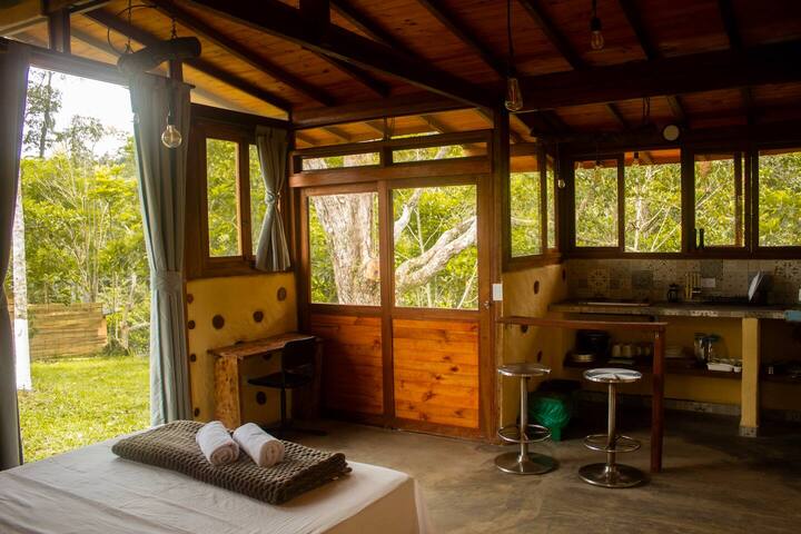 Cabañas En El Bosque Para Grupos - San Carlos, Colombia