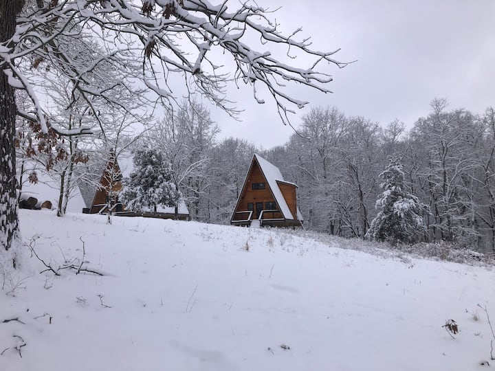 Dogwood Den - Rogers, AR