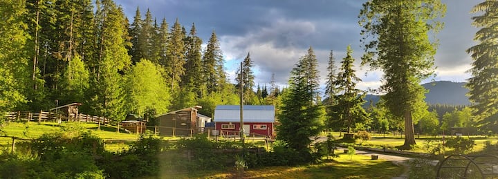 Miracle Valley Farm Experience - Mission