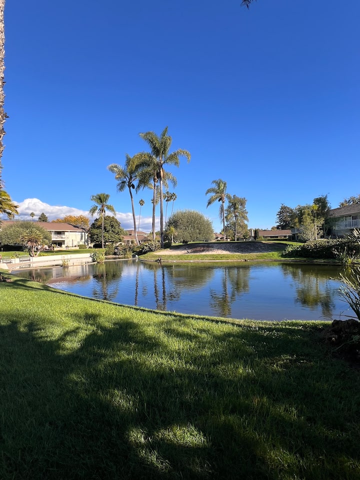 Golf & Sunshine For People Over 55 - 戈利塔