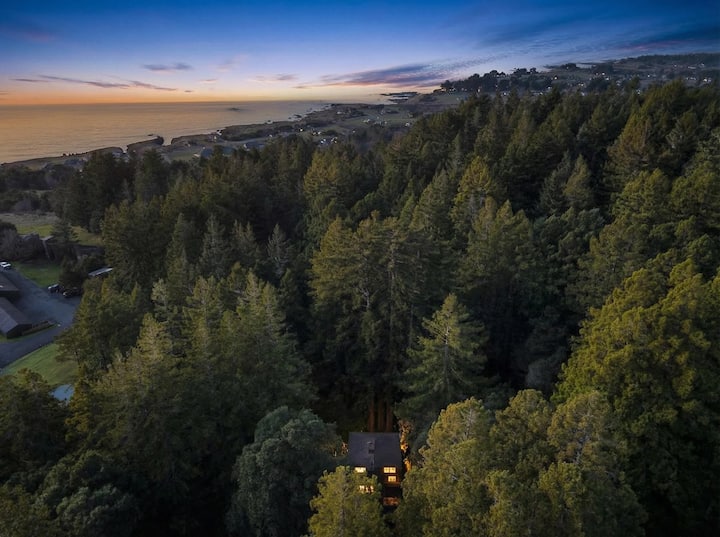 Sea Ranch Redwood Retreat | Sauna | Gym | Hot Tub - Sea Ranch, CA