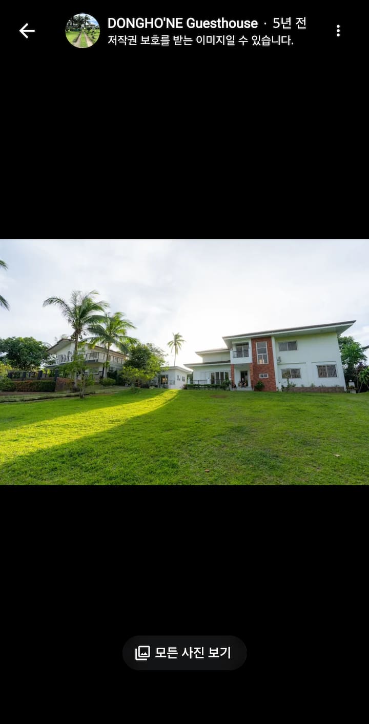 Dongho'ne Guesthouse - Amadeo