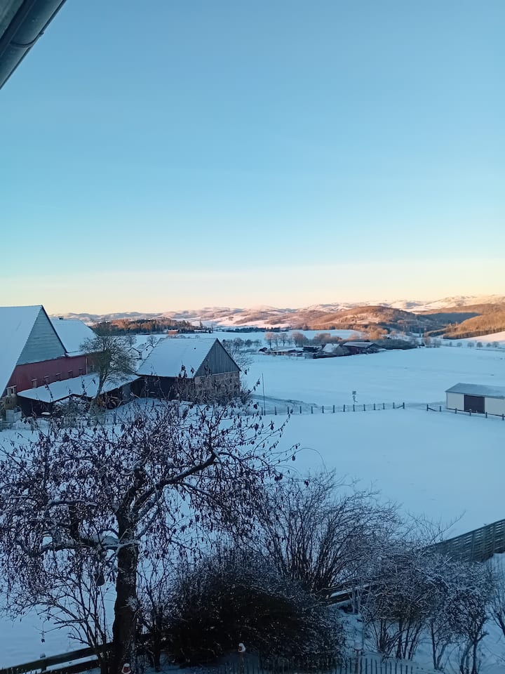 Casa Lobi - Die Ferienwohnung Mit Ausblick! - Korbach