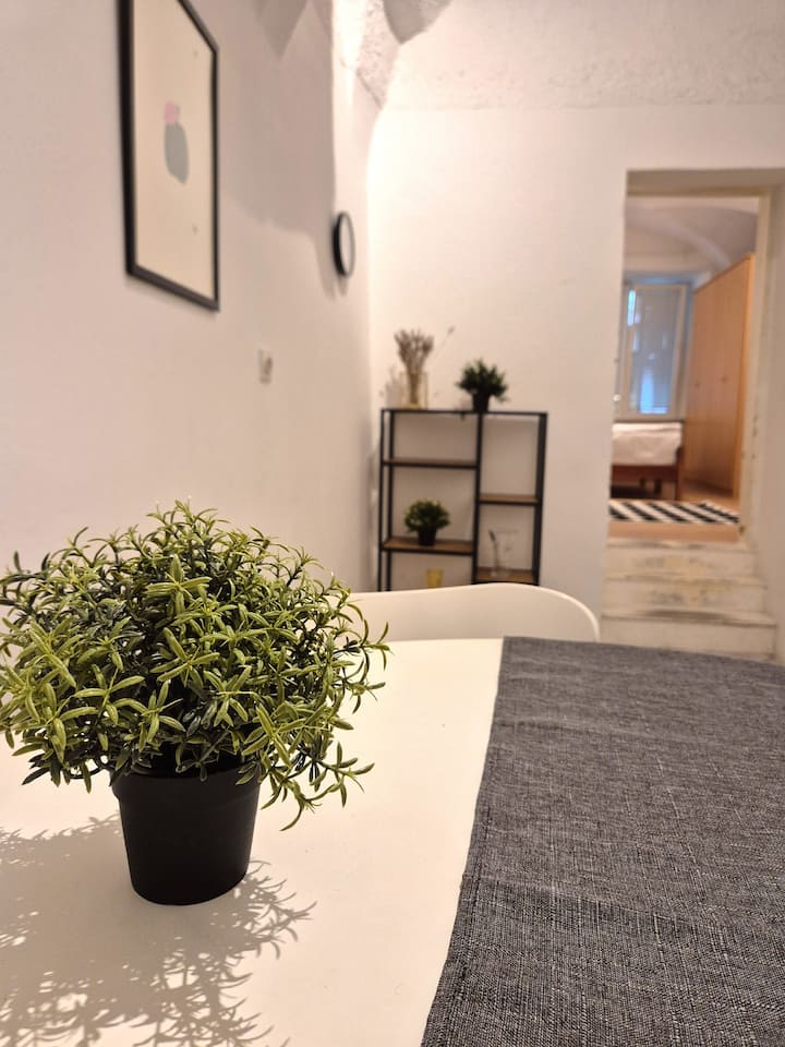 Walter Apartment City Center - Ljubljana