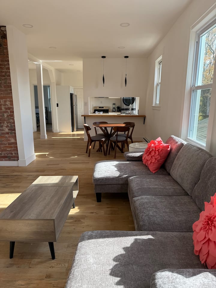 Science Park Apartment Full Of Space And Light. - New Haven, CT