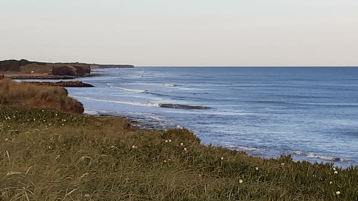 Surf Cabaña Frente Al Mar.
Miramar. - Miramar