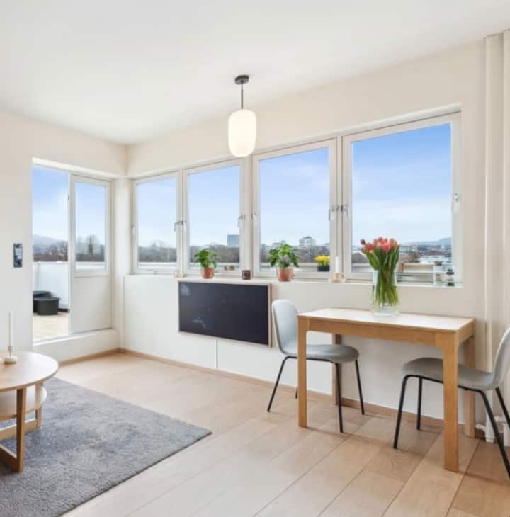 Exceptional Views, Central Location And Modern - Oslo
