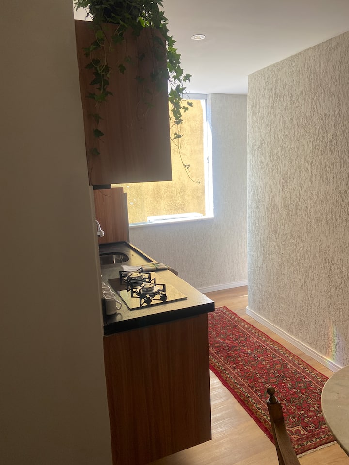 Apartamento Charmoso Completo Na Av Nazaré - Bethlehem, PA