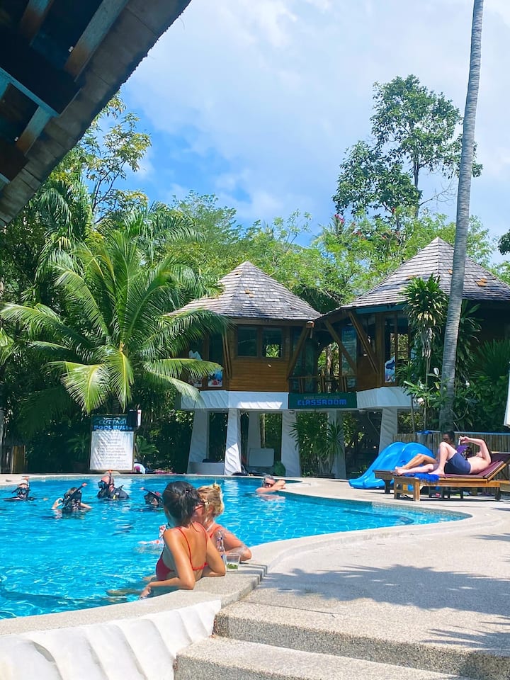 Seaside Pool Stay (Koh Tao) - Ko Tao
