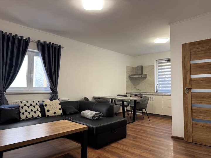 Cozy Nest Jáchymov - Apartment - Oberwiesenthal