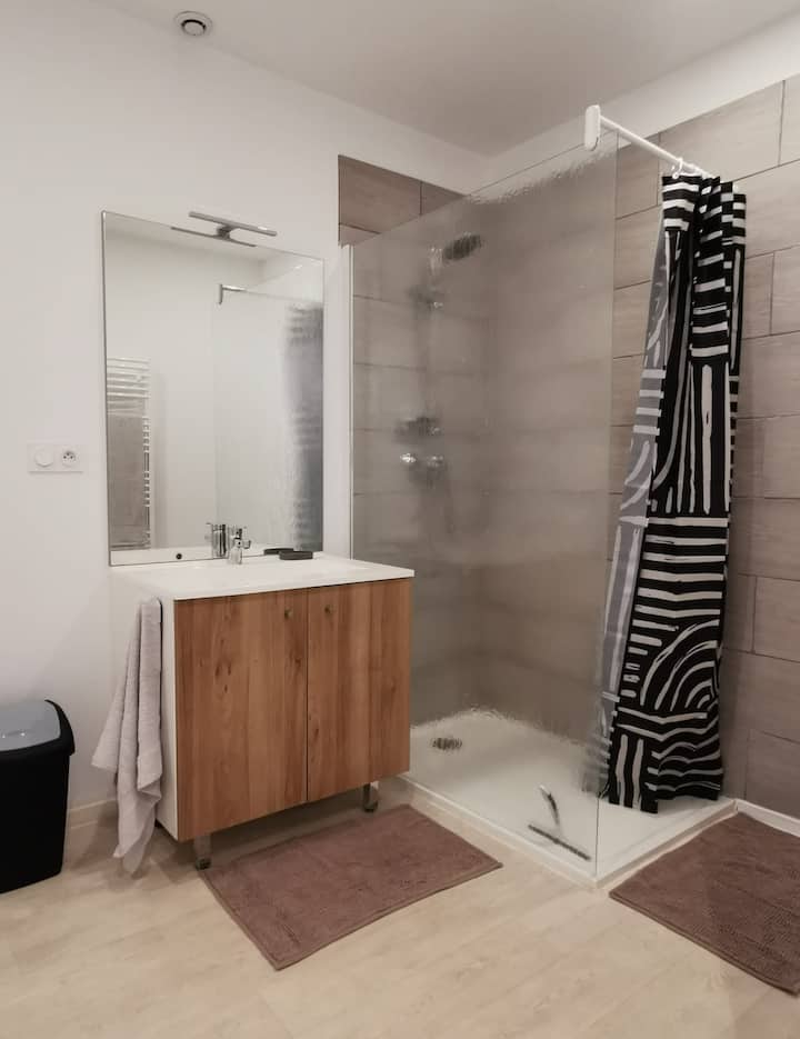 Le Logis De Pémille - Graulhet