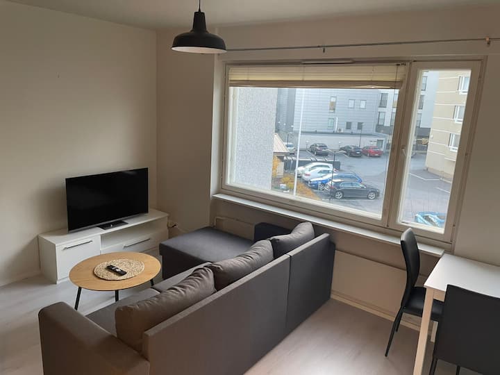 Siisti Yksiö Jyväskylän Ydinkeskustassa. - Jyväskylä