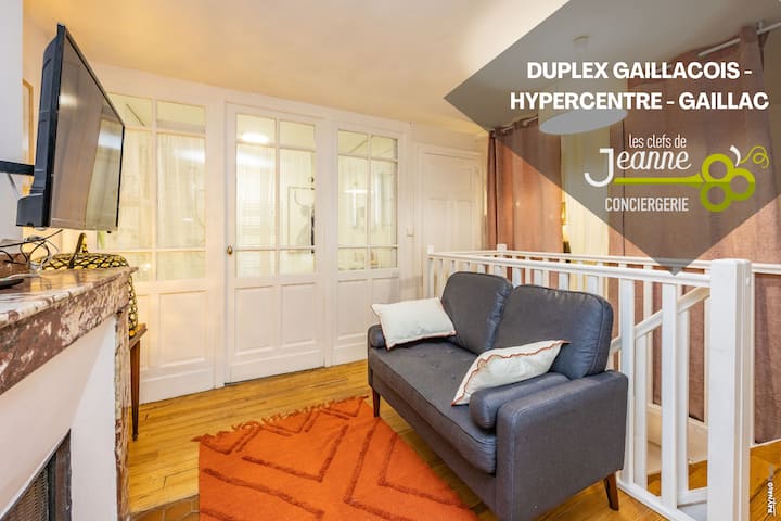 Duplex Gaillacois - Hypercentre - Gaillac - Gaillac