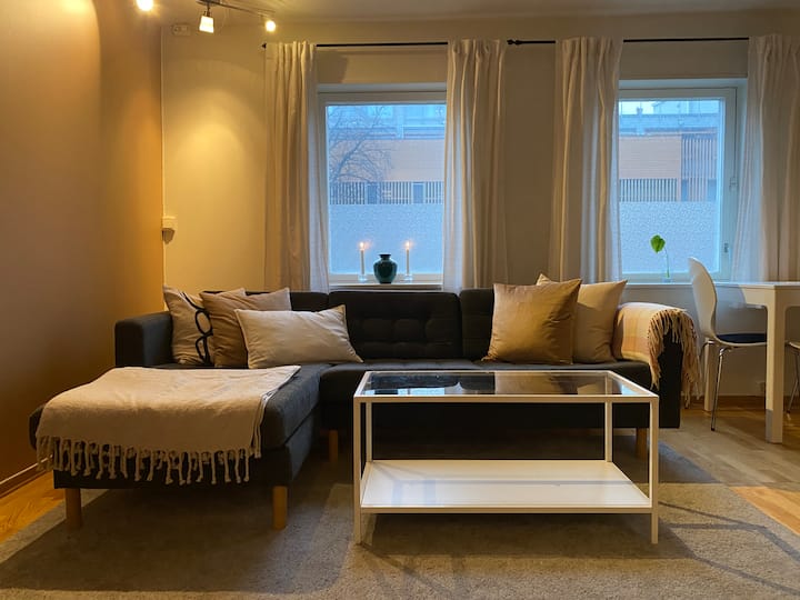 Sentral Bygårdsleilighet I Trondheim - Trondheim