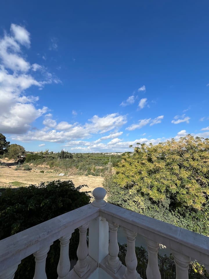 Villa Soleil D’hammamet - Hammamet