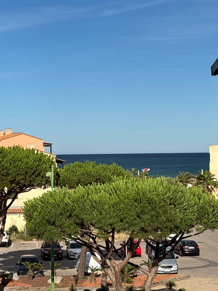 Logement à 100m Plage Et Commerces - Le Barcarès