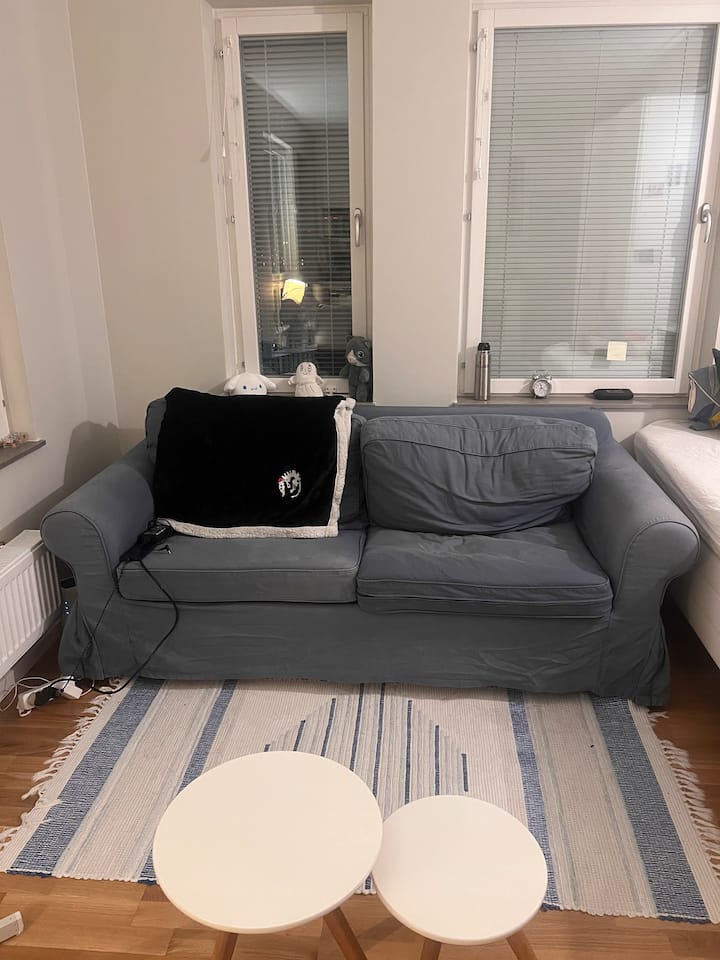 Morden Studio For Sublet In Stockholm - Sollentuna