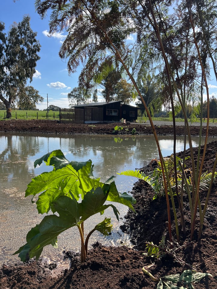Lodge Rehuén /  Casa Luna - Mulchen