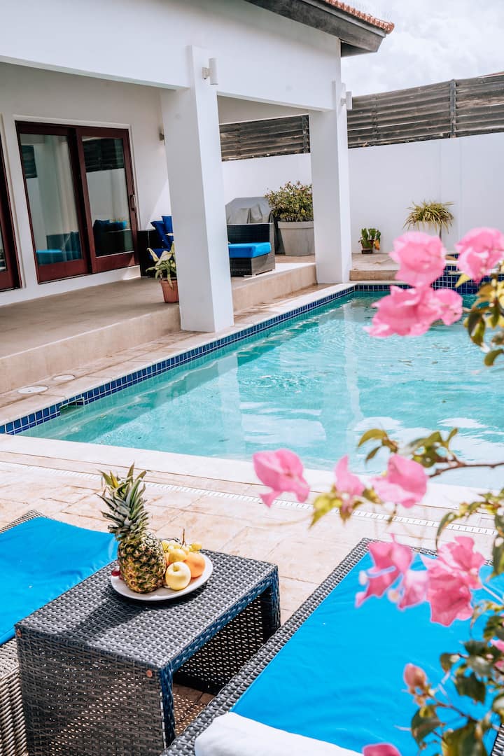 Poolside Studio B In Safir, Malmok Area And Beach - Aruba