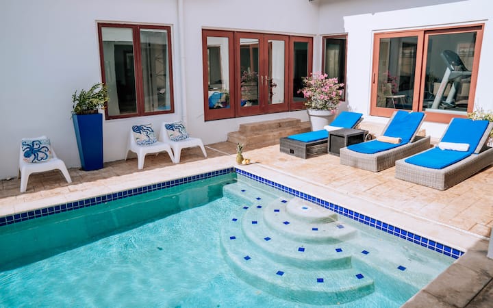 Poolside Studio B In Safir, Malmok Area And Beach - Aruba